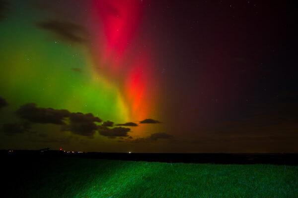 Bladeren – WadFotografie.nl